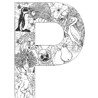 Animals and Plants Alphabet » Coloring Pages » Surfnetkids