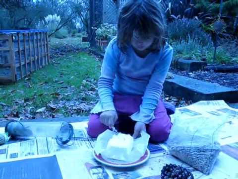 How To Make a Pine Cone Bird Feeder » Video » Surfnetkids