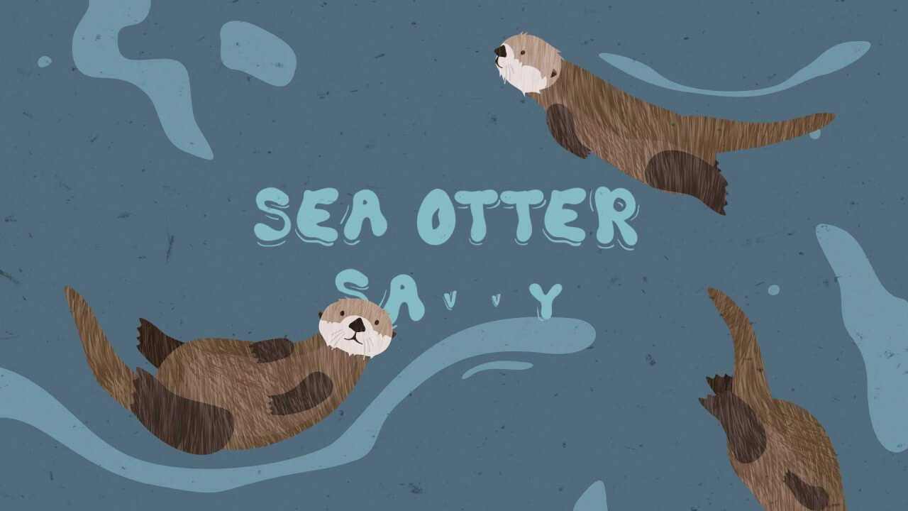 The Sea Otter Savvy Song » Video » Surfnetkids